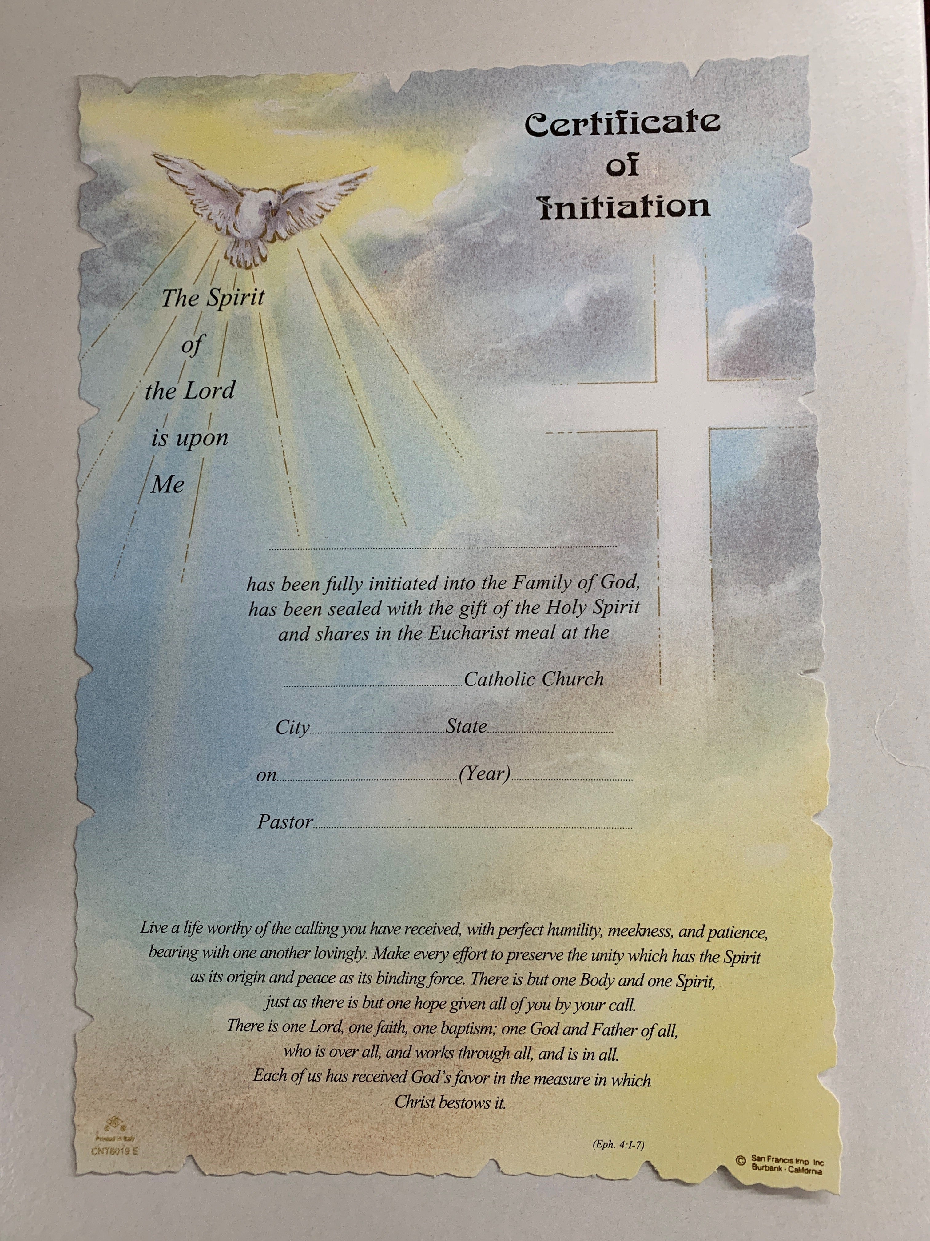 CNT6019 E CERTIFICATE OF INITIATION PACK PER 100 NO ENVELOPES– Patrick ...